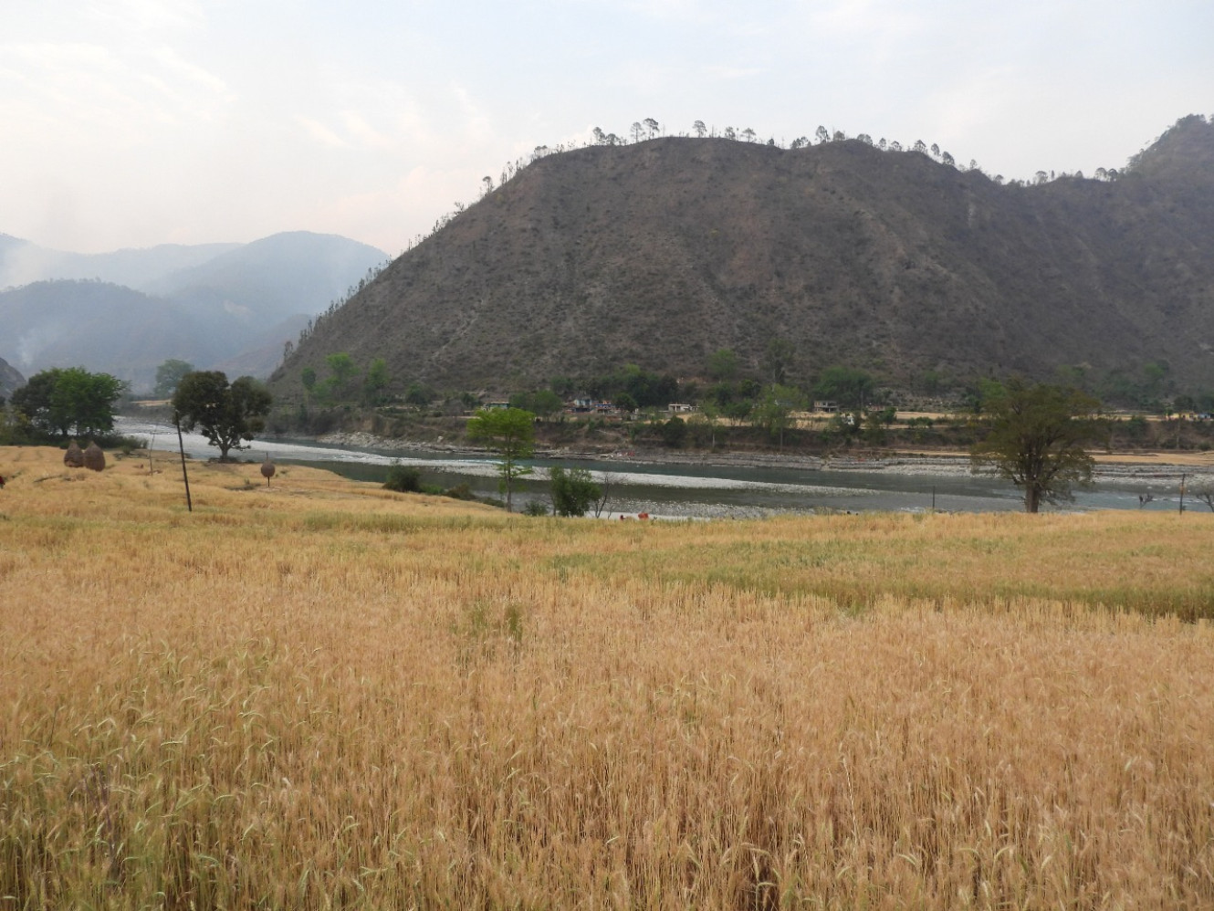 Third year into the project: Strengthening Tiger Conservation ...