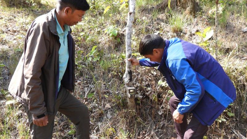 Securing the future of tigers and co-predators in the high altitude ...