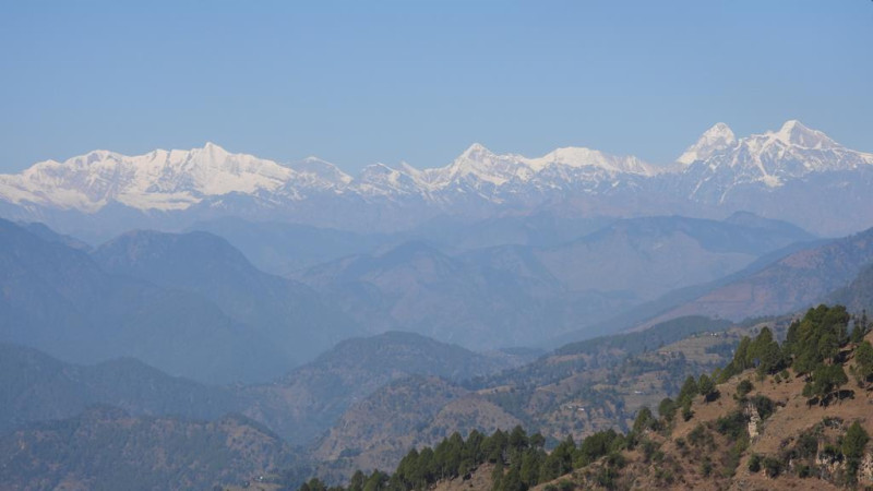 Securing the future of tigers and co-predators in the high altitude ...